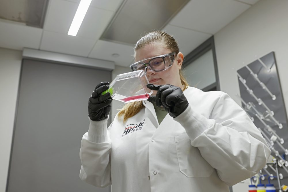 Elizabeth Skelly secures prestigious GSK internship - Klein College of ...